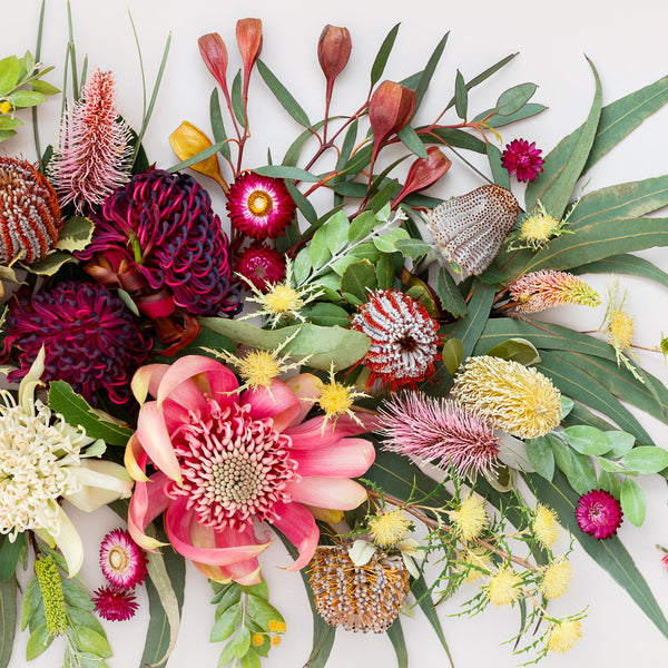 Bush Mix - Square - Eclectic Botanica