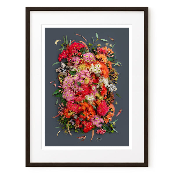 Eucalyptus Symphony Dark #5 of 25 - Eclectic Botanica