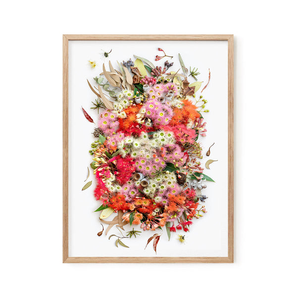 Eucalyptus Symphony | A3 White or TassieOak - Eclectic Botanica