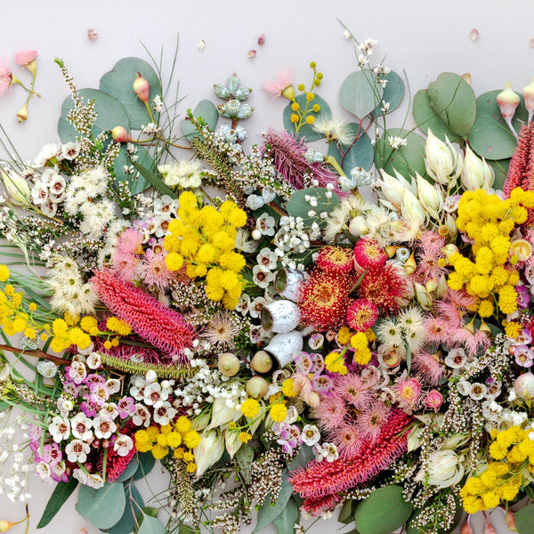 Native Mix Pano - Eclectic Botanica