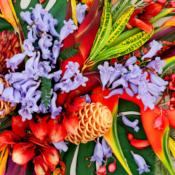 Tropical Mix - Eclectic Botanica
